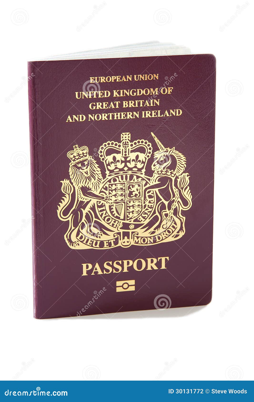 UK Passport stock photo. Image of security, passport - 30131772