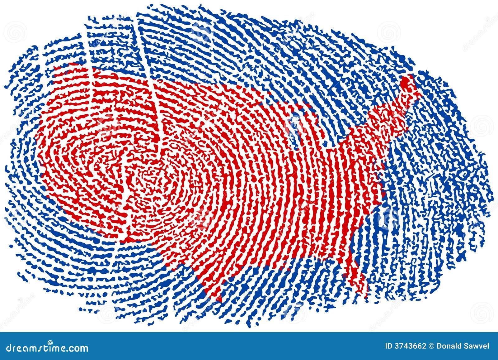 United States Fingerprint stock vector. Illustration of unique - 3743662