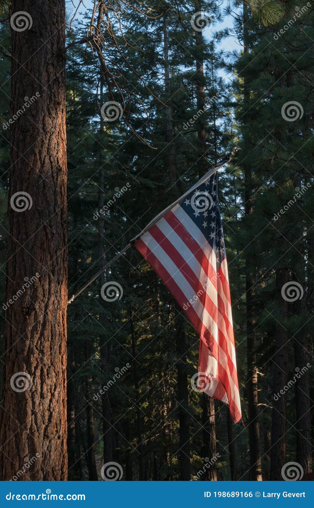 United States Flag stock photo. Image of america, nation - 198689166