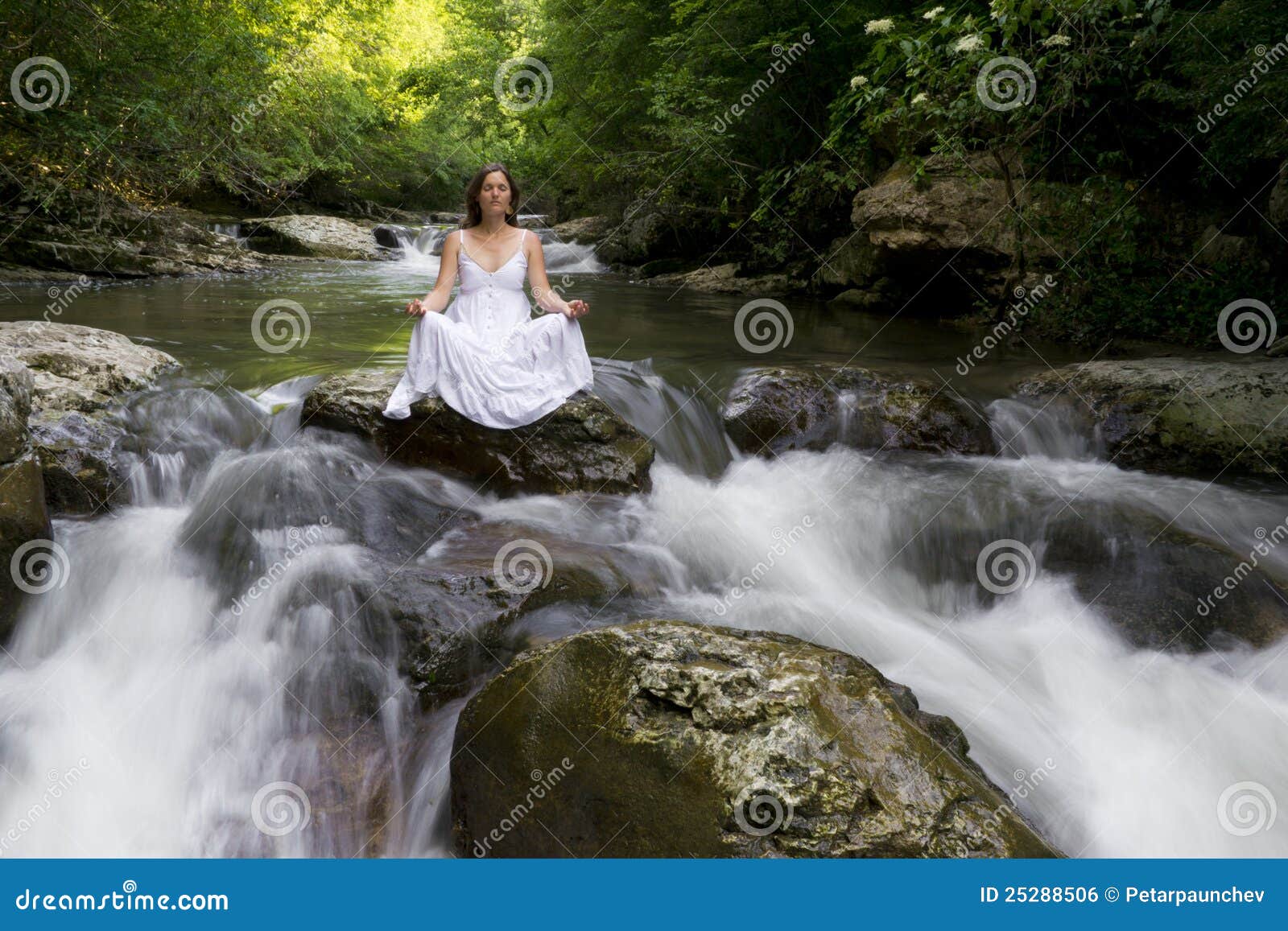 Unity with Nature stock photo. Image of nature, relax - 25288506