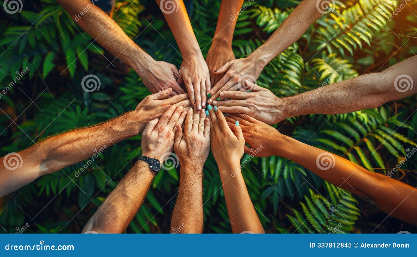 Unity in Nature Diverse Hands Together Stock Image - Image of ...