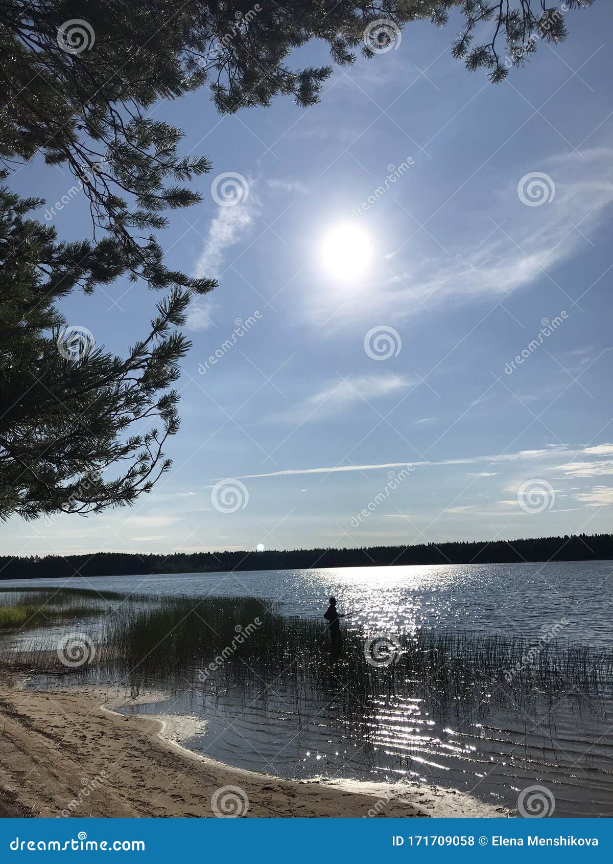 Unity with nature stock photo. Image of nature, river - 171709058