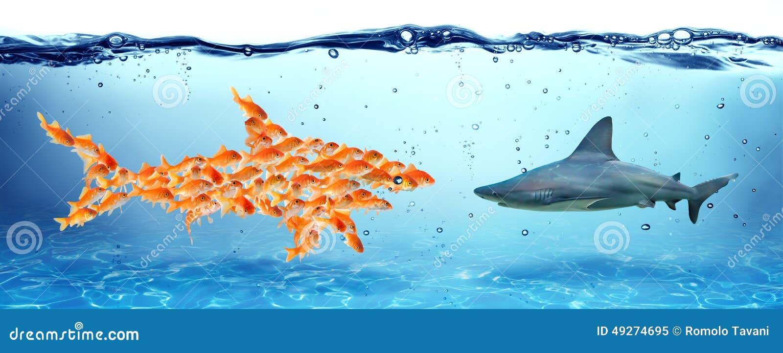 Unity is strength stock image. Image of concept, together - 49274695