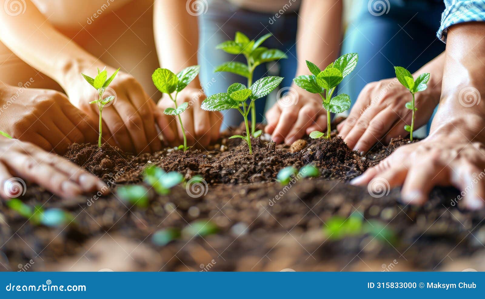 Unity in Sustainability Team Collaboration on Eco Friendly Project ...