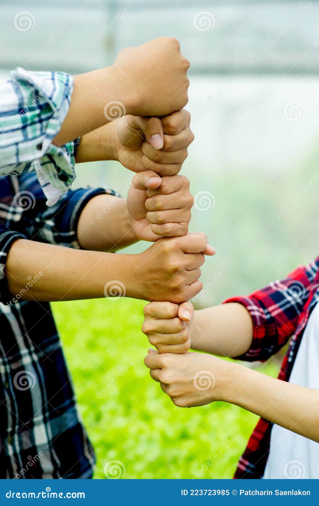 Unity, Teamwork Unity Group Unity of Mind Power Put Your Hands in a ...