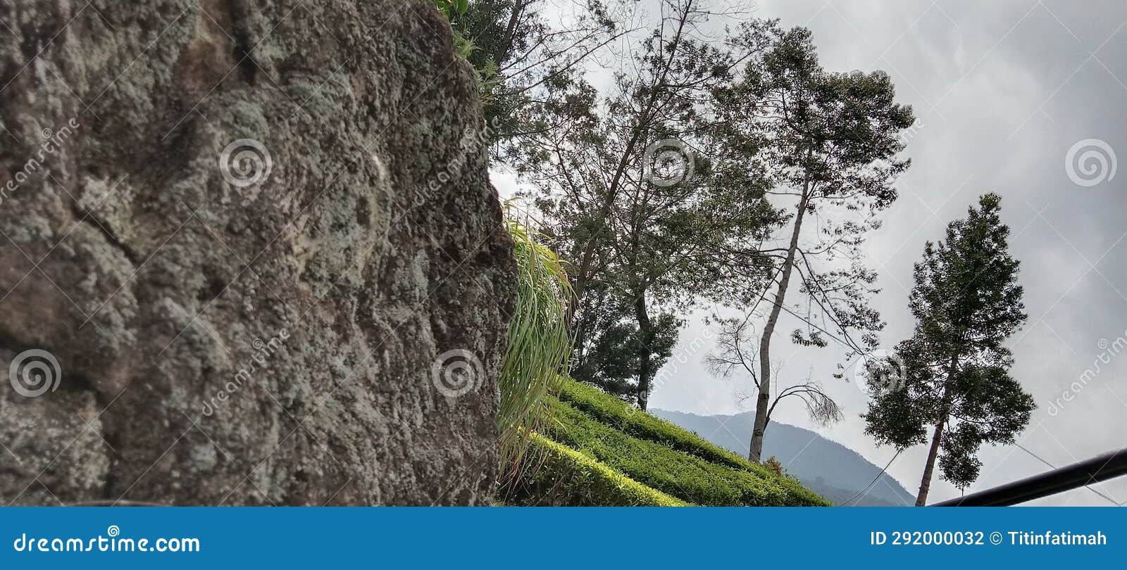 Unity of Trees,Stones and Sky Becomes Nature Art Stock Photo - Image of ...