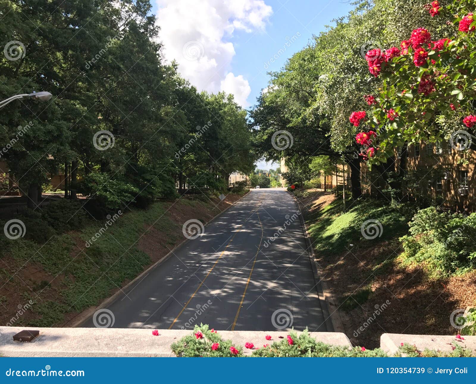 Univ. of South Carolina Student Bridge Editorial Stock Image - Image of ...
