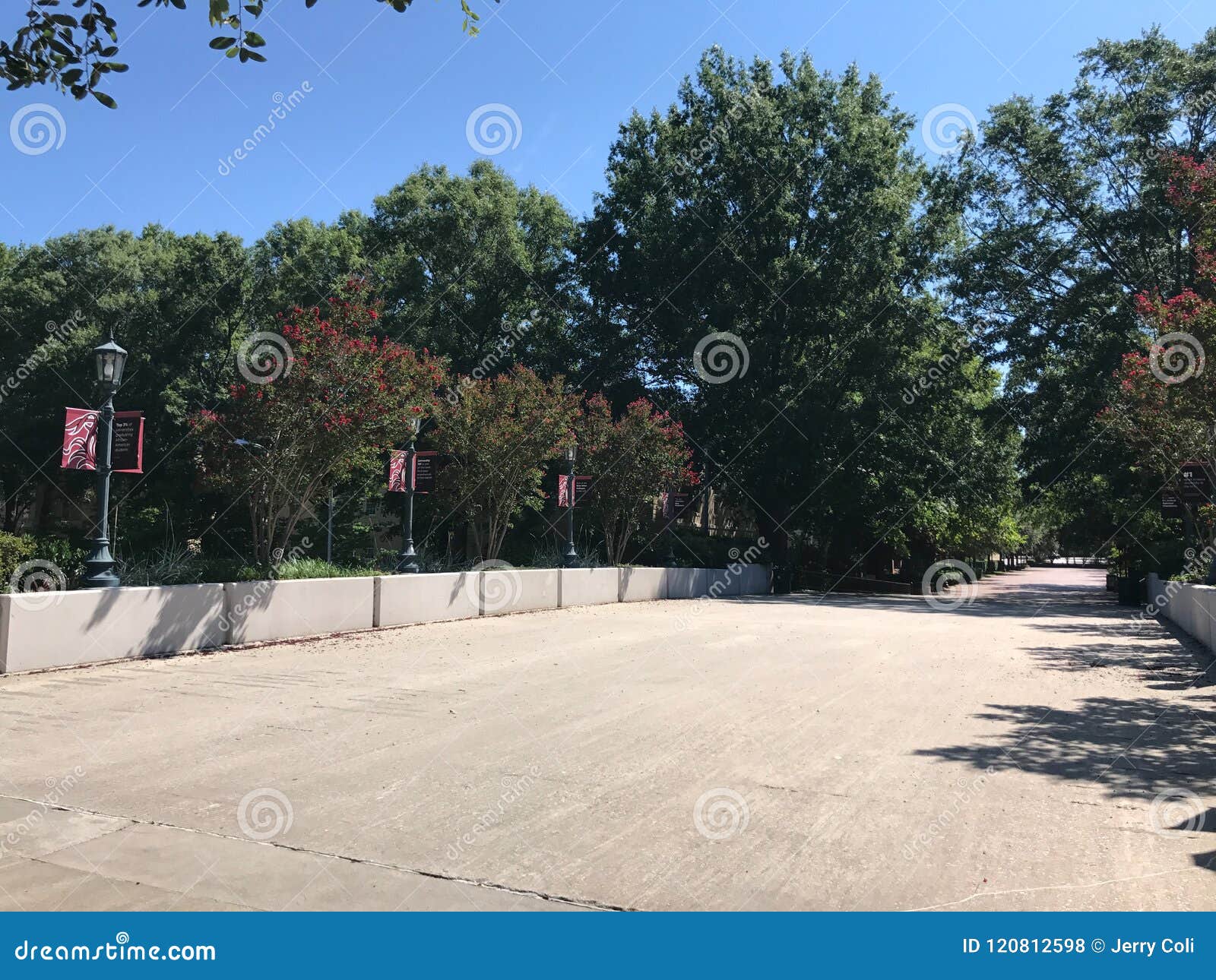 Univ. of South Carolina Student Bridge Editorial Stock Photo - Image of ...