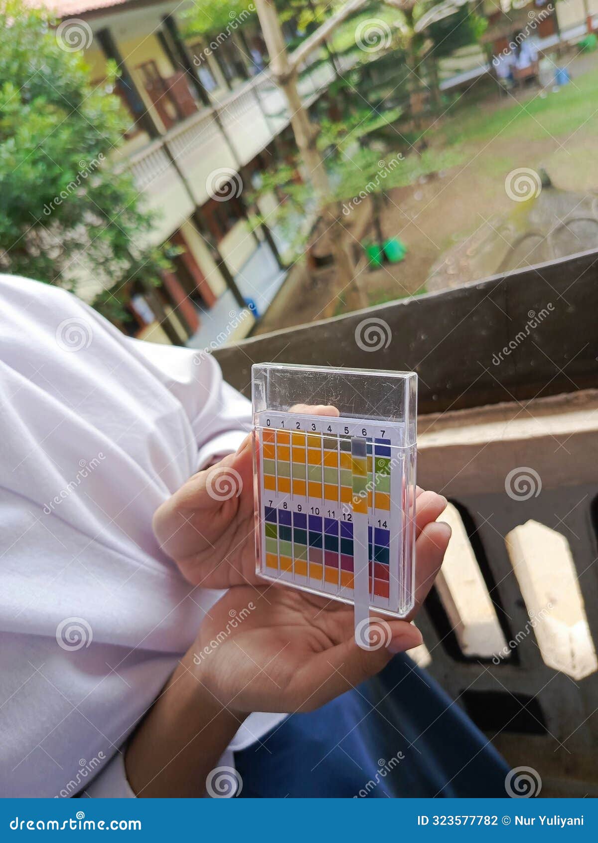 Universal Indicator stock photo. Image of solution, practicum - 323577782
