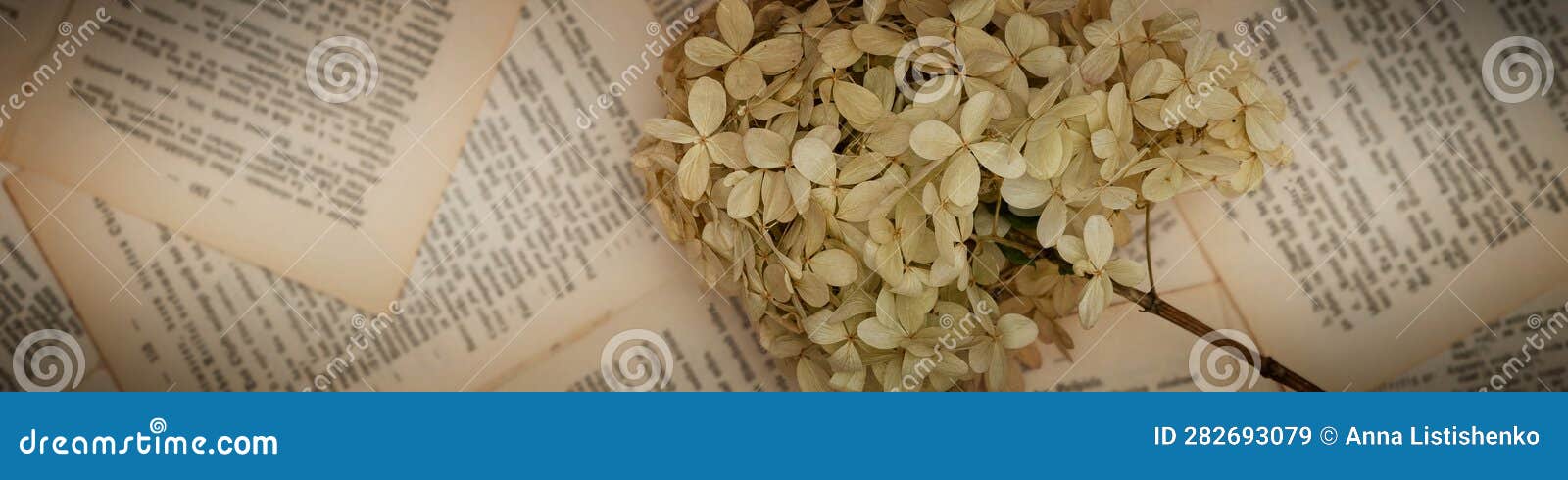 Universal Linkedin Banner for People of Creative Professions Stock ...