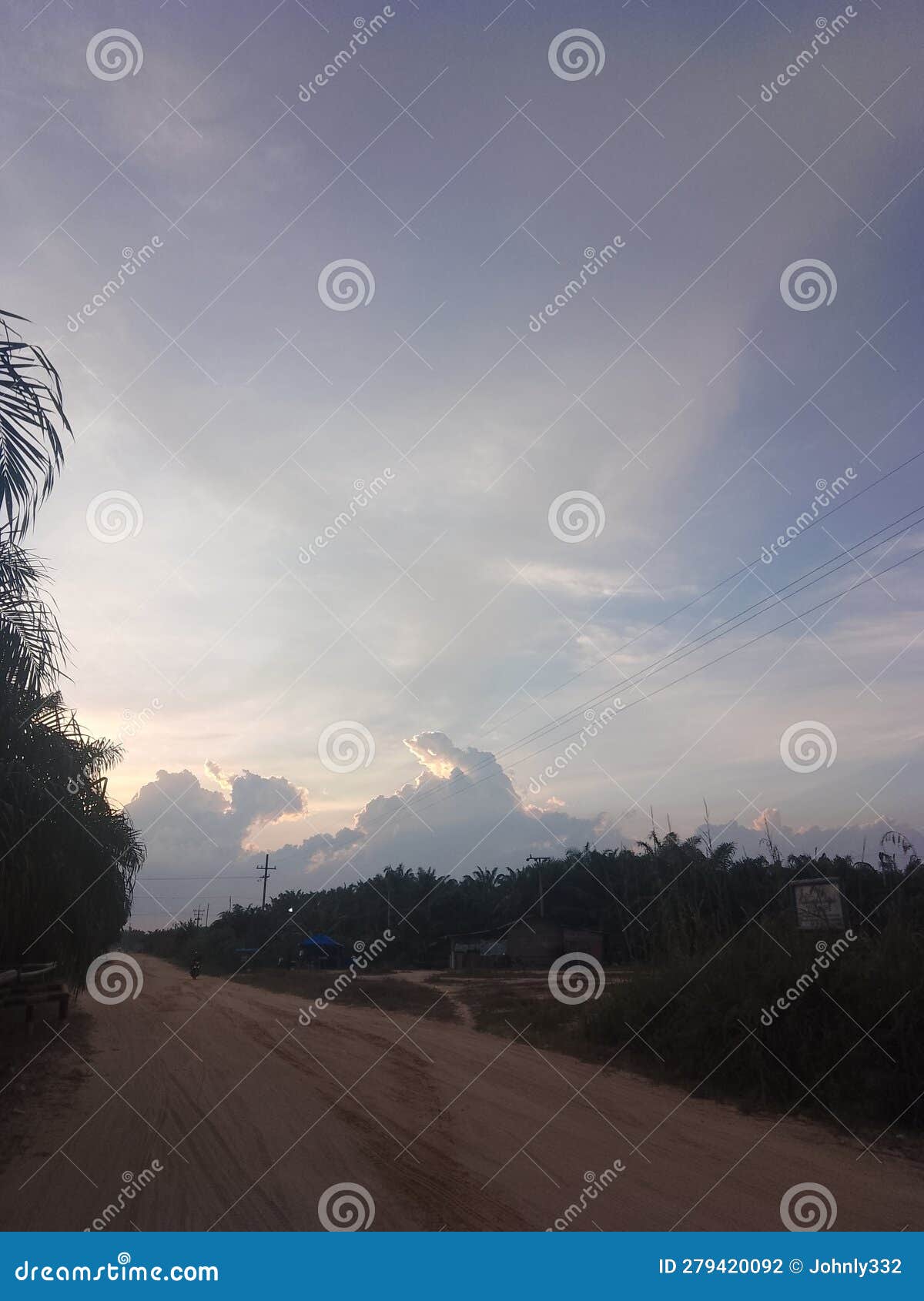 The Purity of Nature in the Countryside. the Atmosphere of Dawn ...