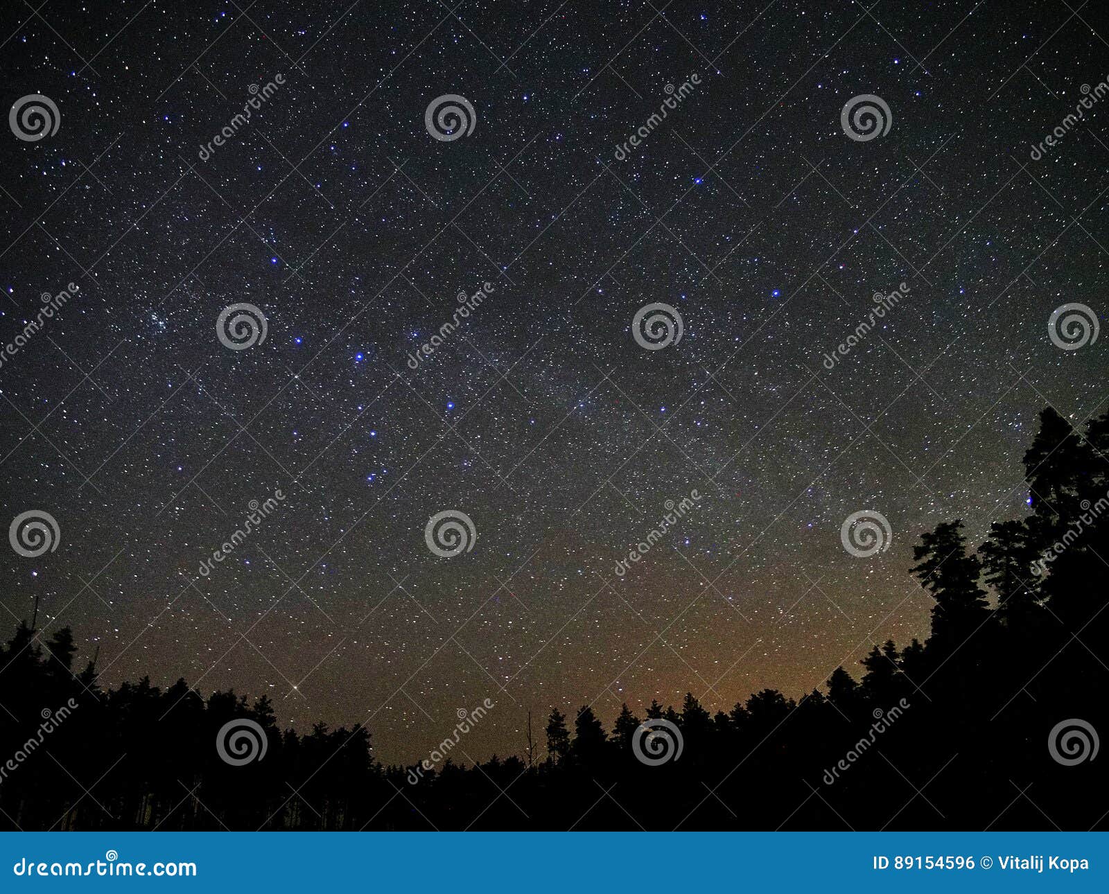 Universe Stars and Night Forest Atmosphere Stock Photo - Image of ...