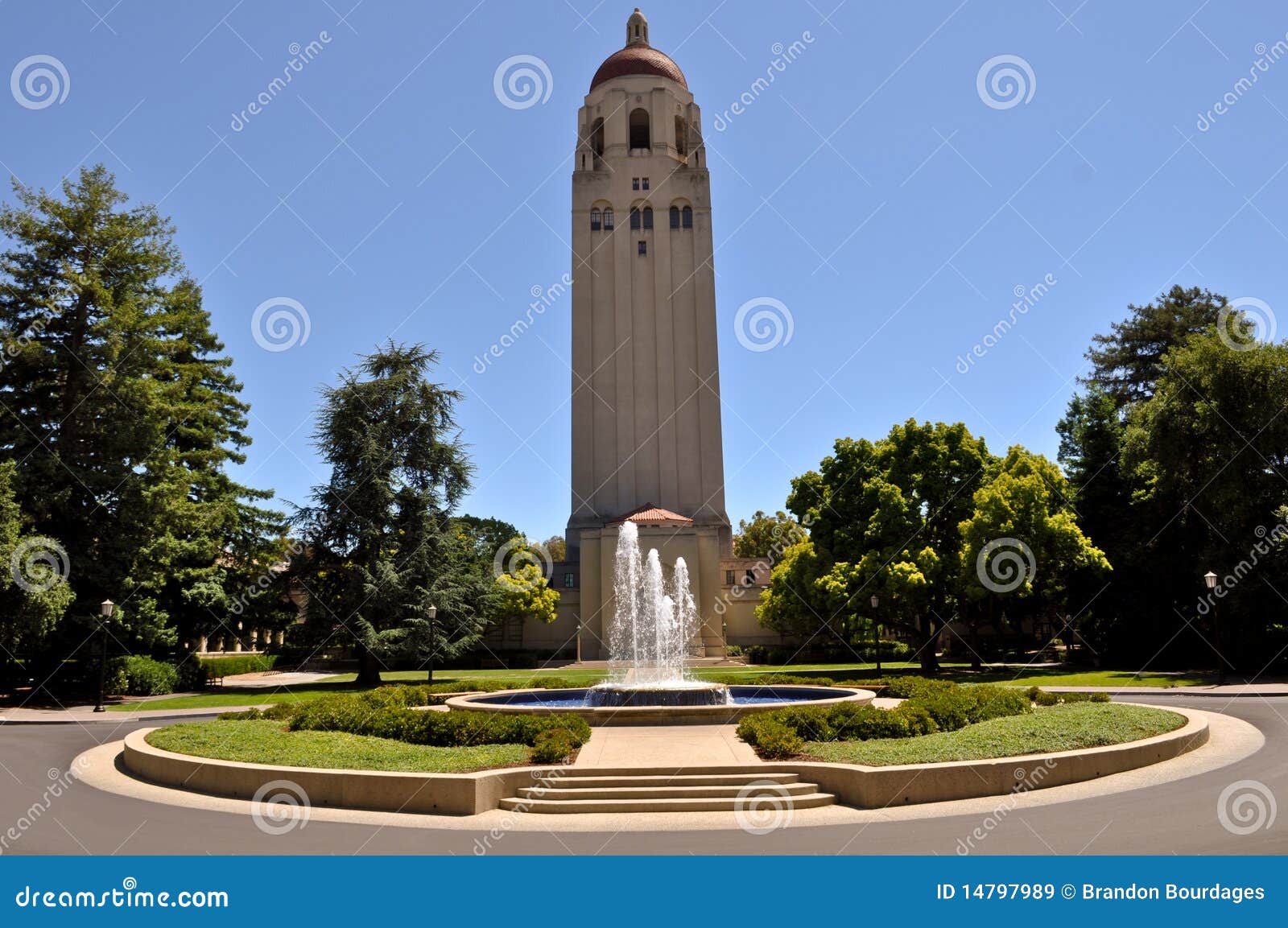 Universidad de Stanford imagen de archivo editorial. Imagen de césped ...