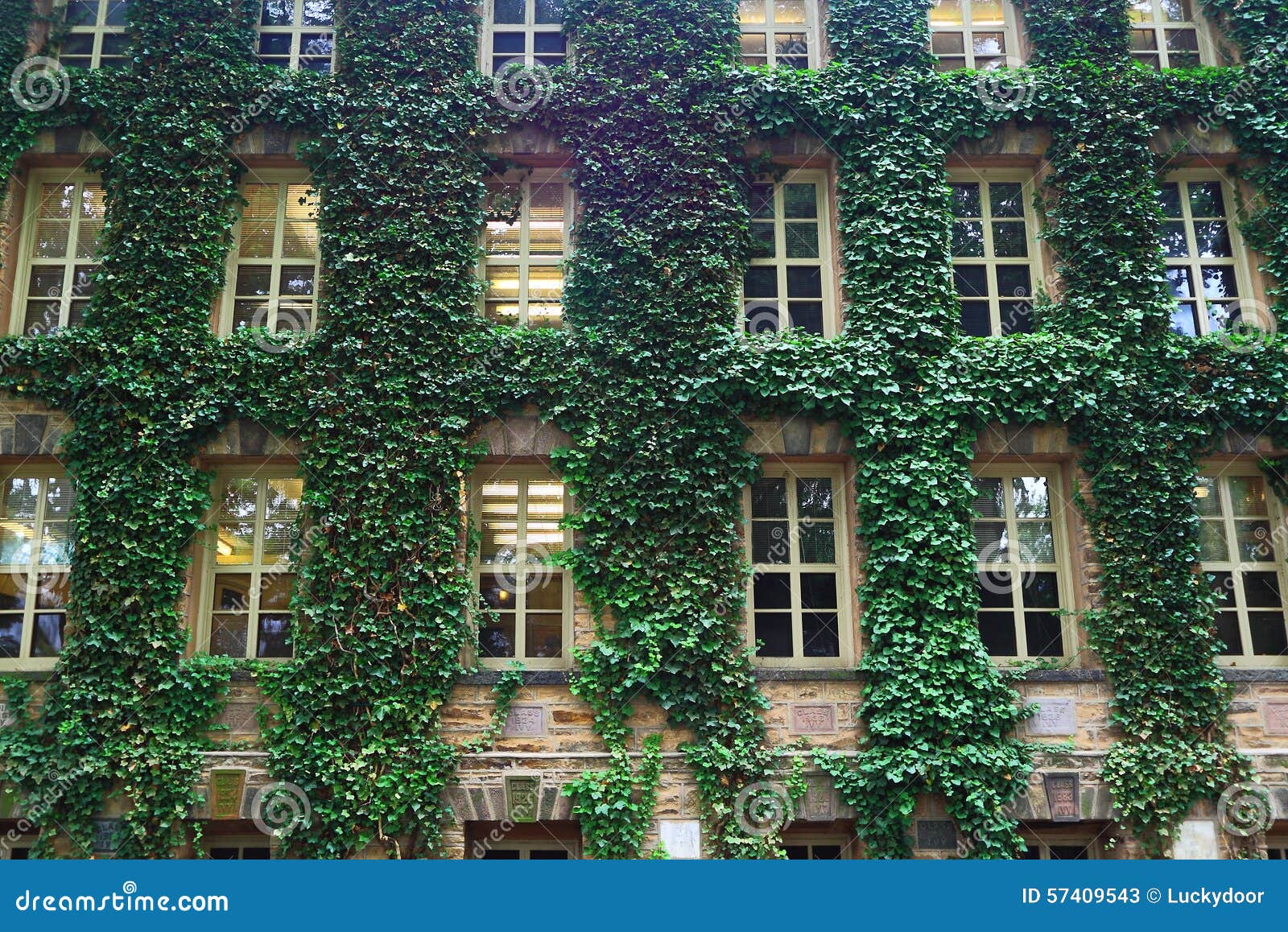 Universidade De Princeton Ivy Wall Imagem de Stock - Imagem de seletivo ...