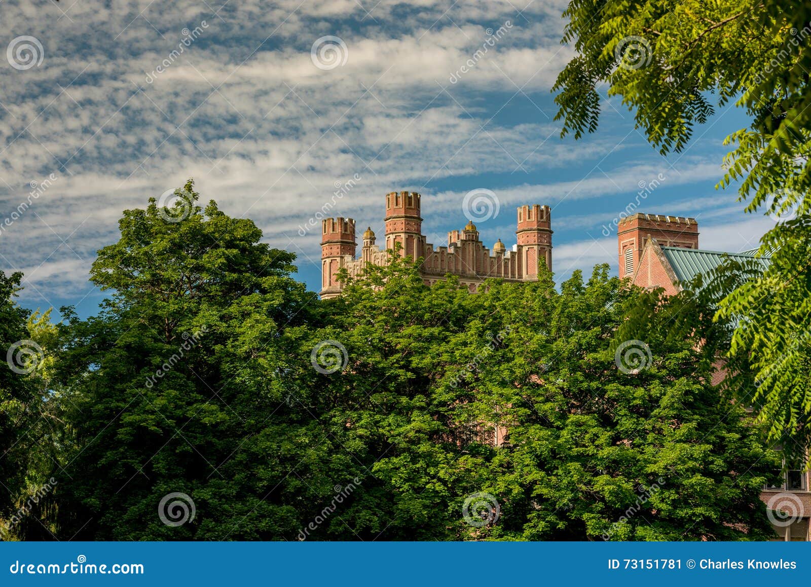 University Admin Building and Trees Stock Image - Image of higher ...
