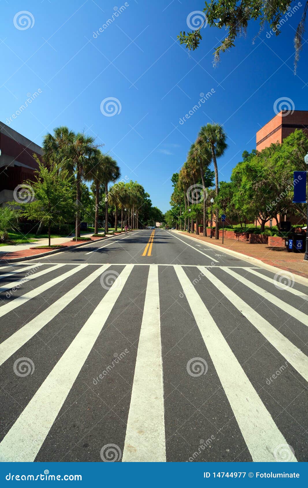 Cross Walk In Black And White Stock Photography | CartoonDealer.com ...