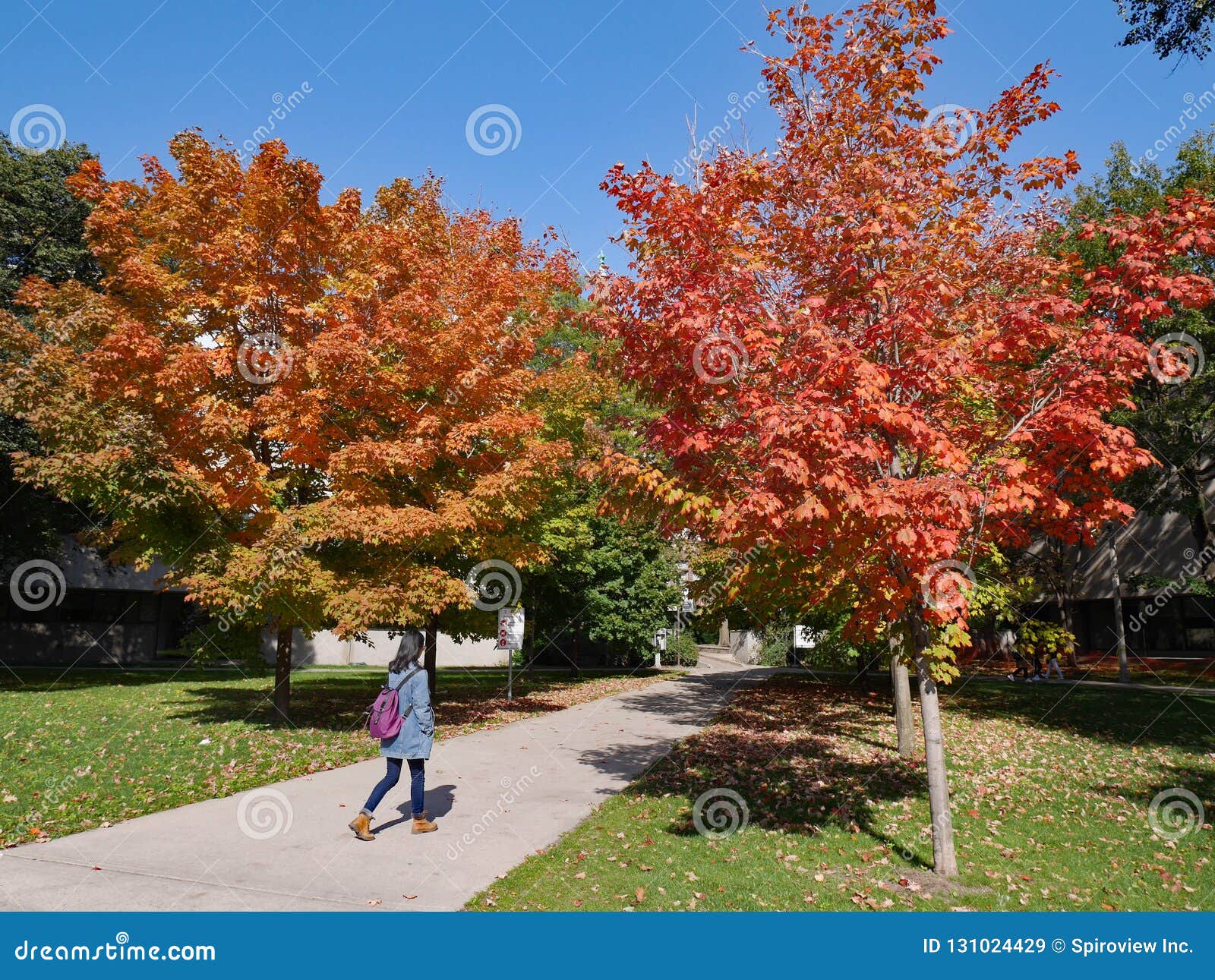 University Campus with Fall Colors Editorial Stock Image - Image of ...