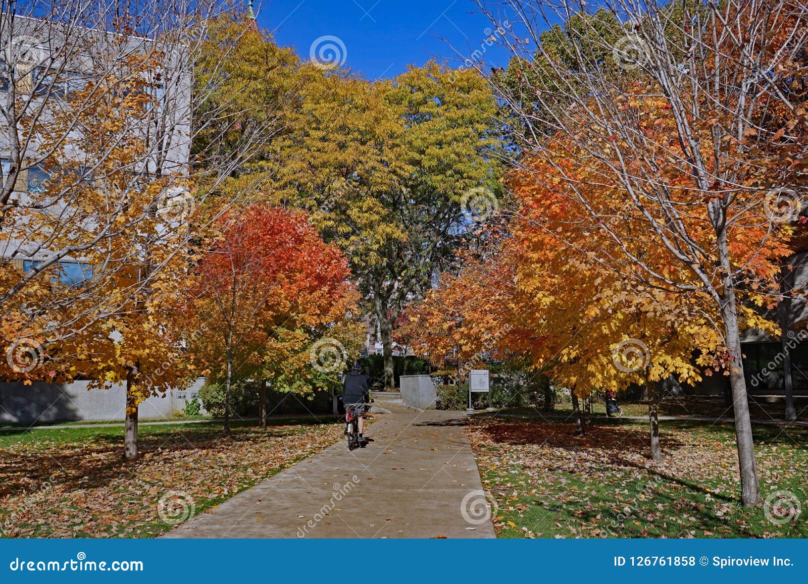 University campus in fall editorial stock photo. Image of riding ...