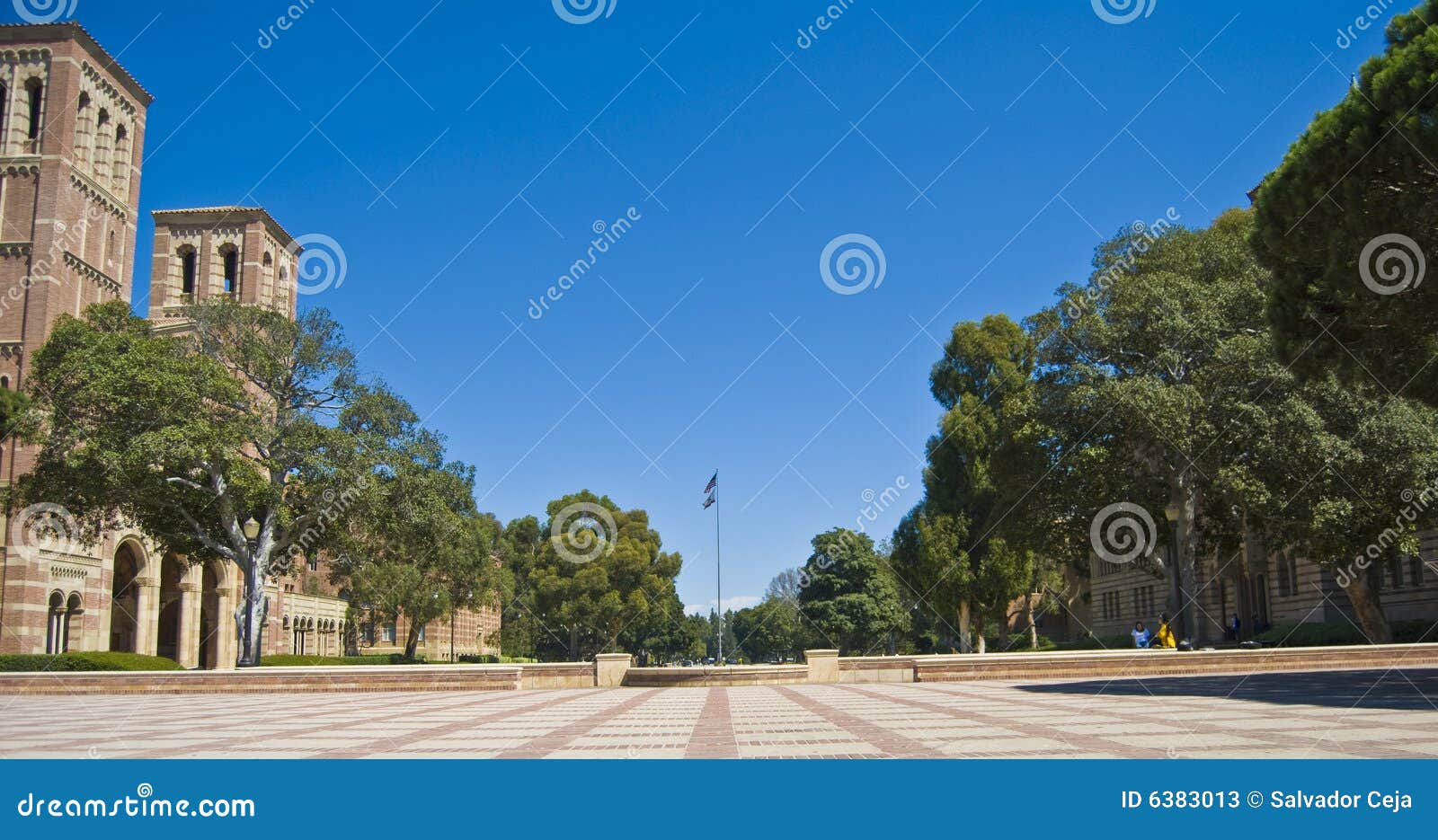 University Campus and Flag Lawn Editorial Stock Photo - Image of trees ...