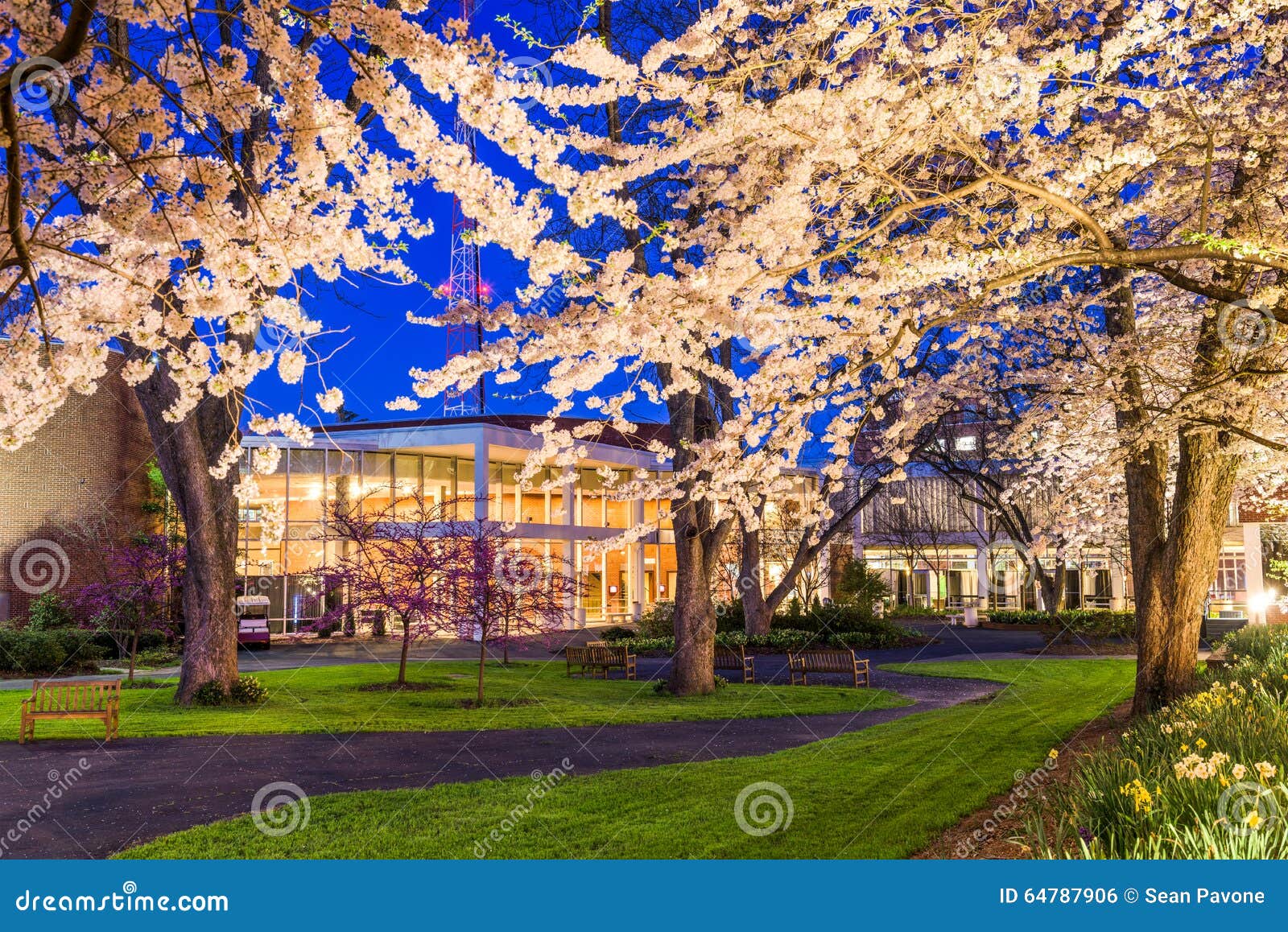 University Campus stock photo. Image of academic, dusk - 64787906