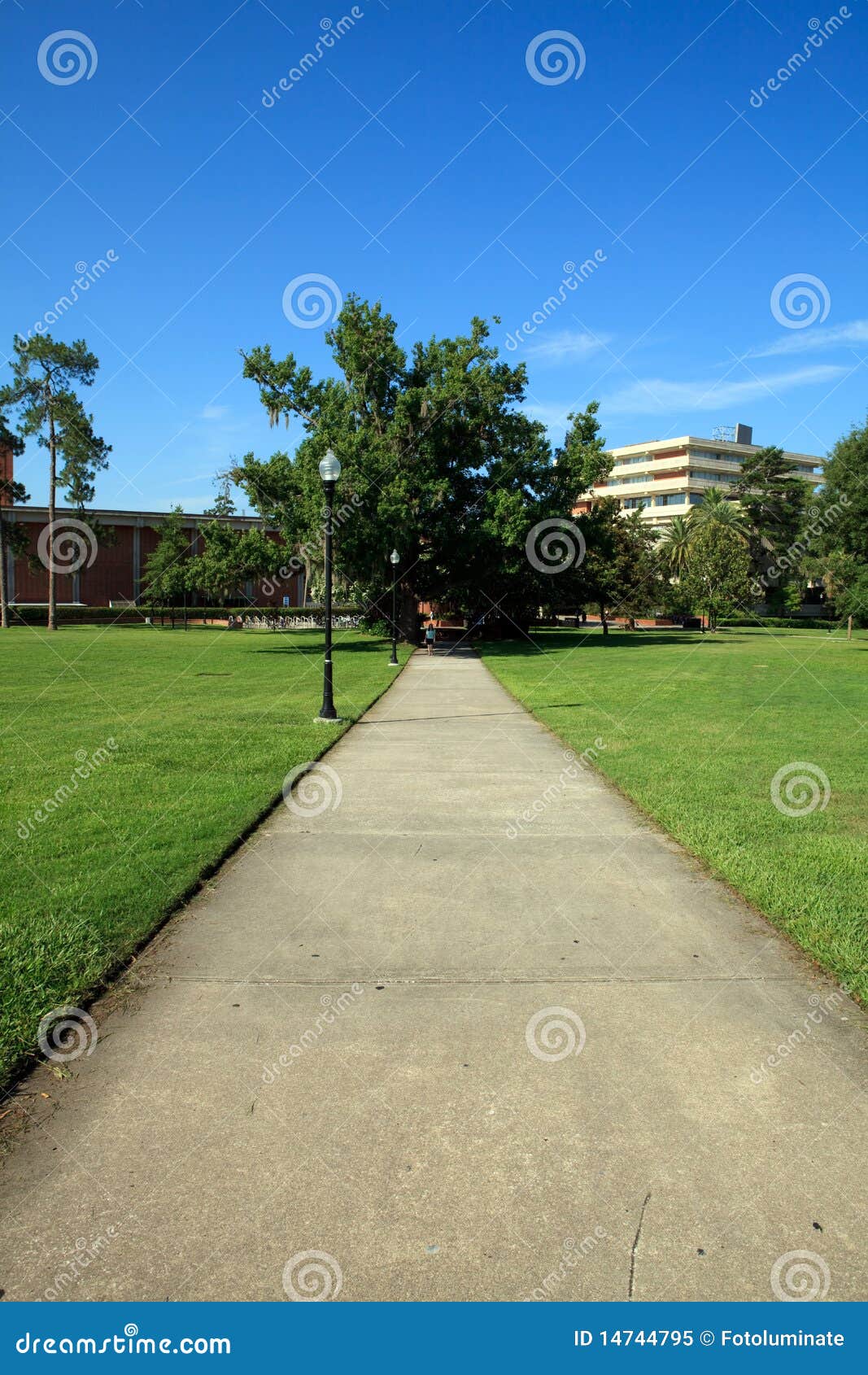 University Campus Walkway stock image. Image of lamp - 14744795