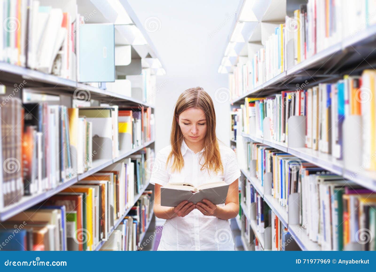 University Education Concept Stock Image - Image of education ...