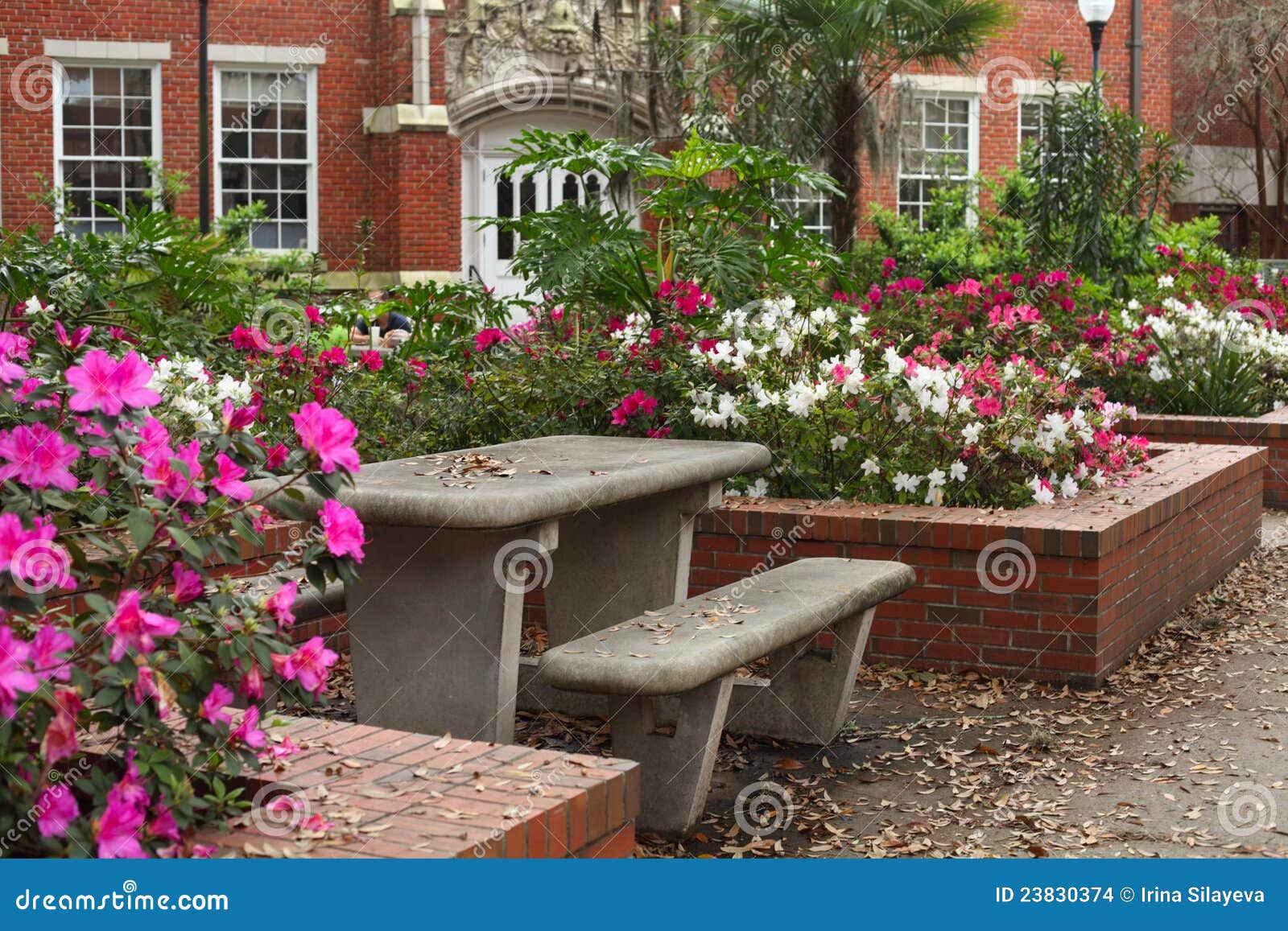 University of Florida Griffin-Floyd Hall Cortyard Stock Photo - Image ...