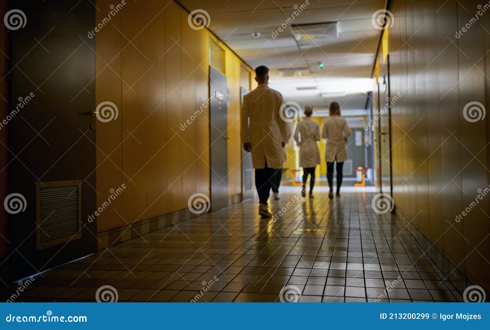 A University Hallway with Students on a Break. Institution, Hallway ...