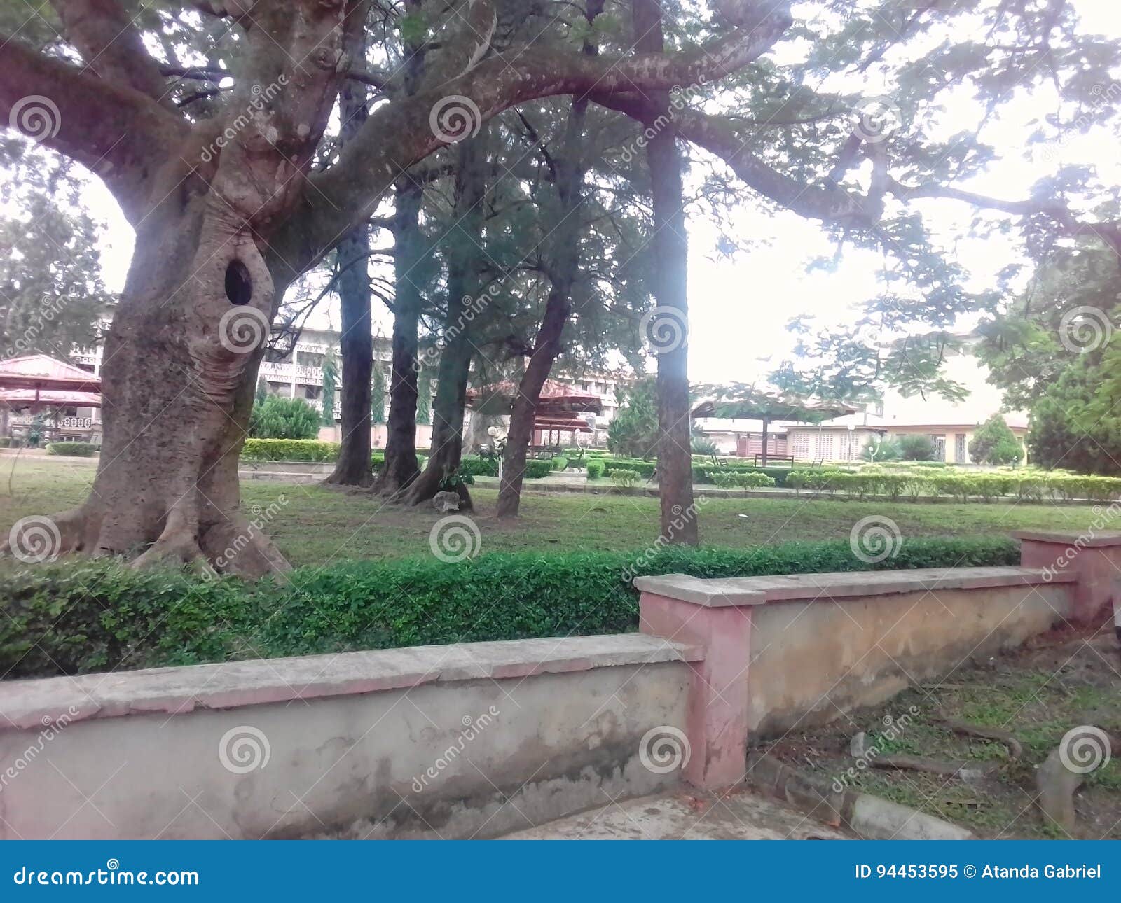 University of ibadan stock image. Image of park, nigeria - 94453595