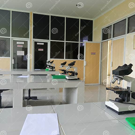 University Laboratory for Practicum Stock Image - Image of genetic, embryology: 268508267