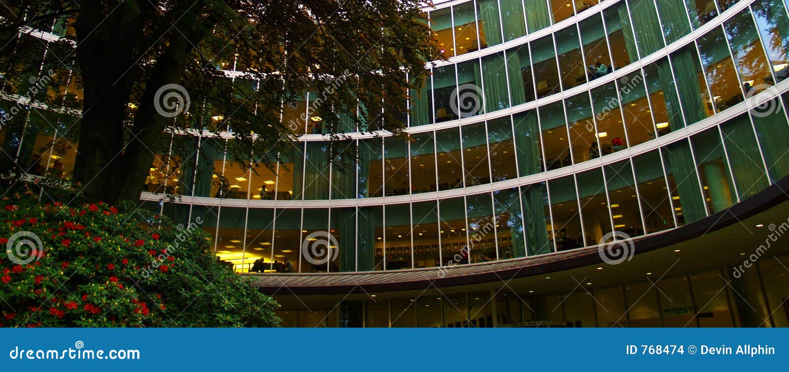 University Library stock photo. Image of hard, research - 768474