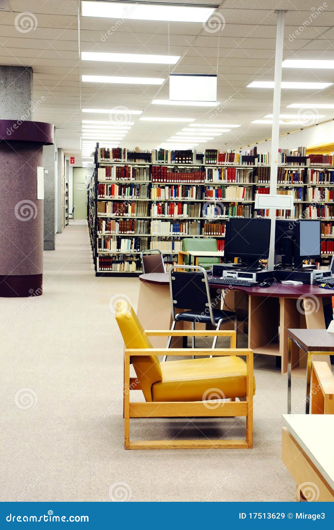 University Library Vertical Stock Image - Image of public, paper: 17513629