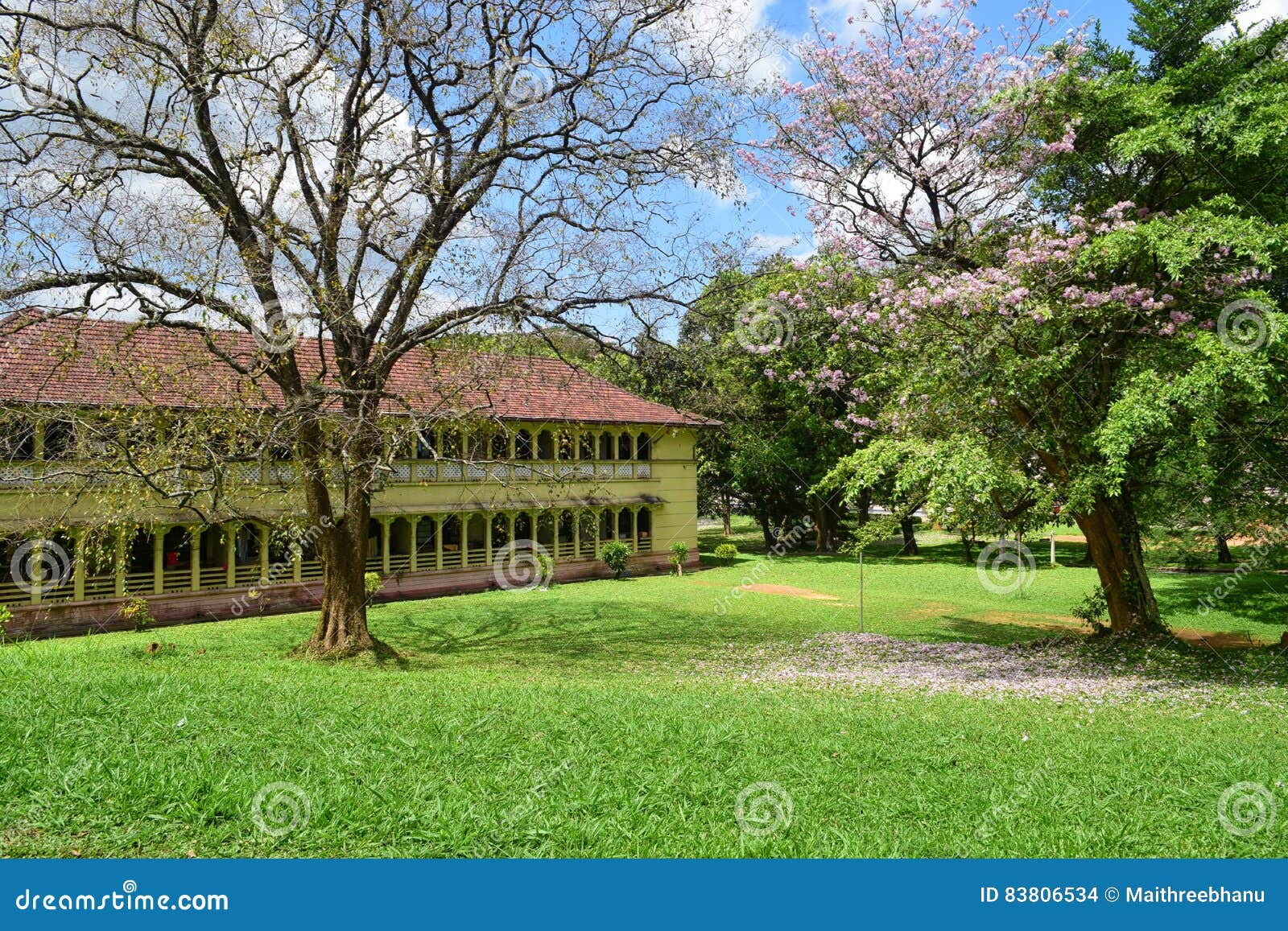 Peradeniya University