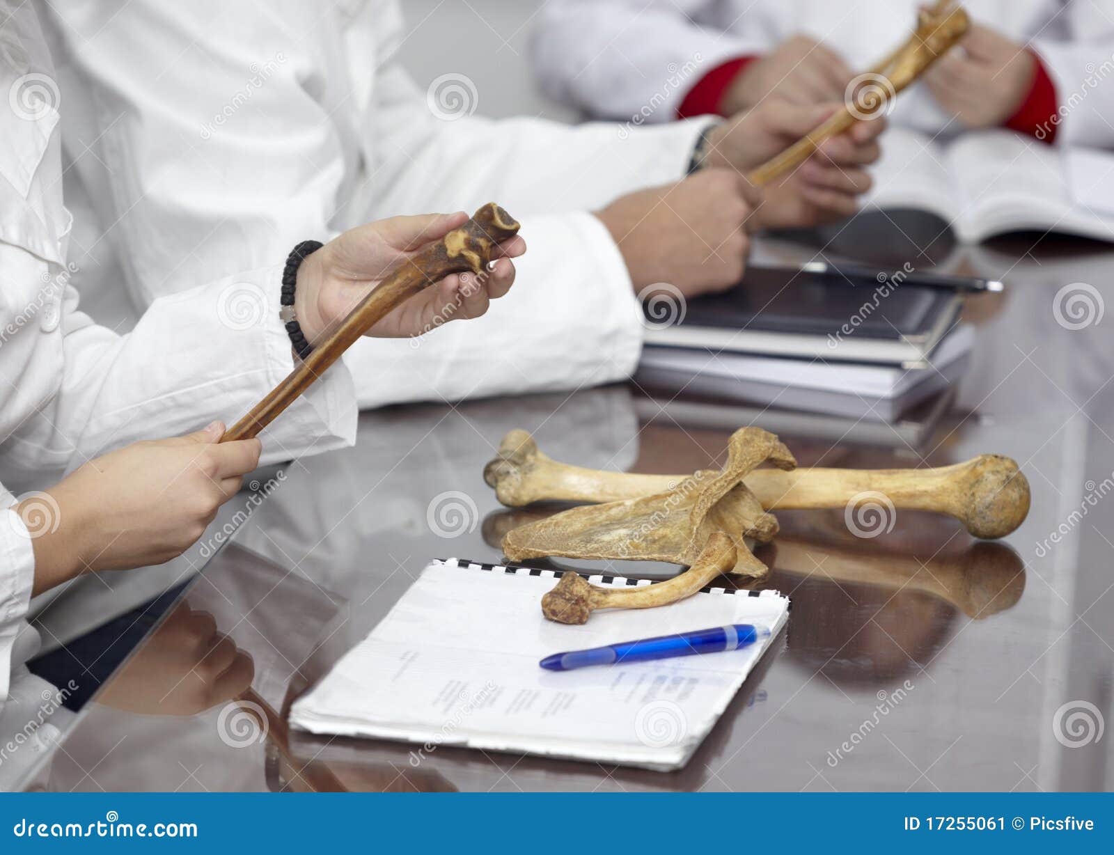 University student stock image. Image of doctor, care - 17255061