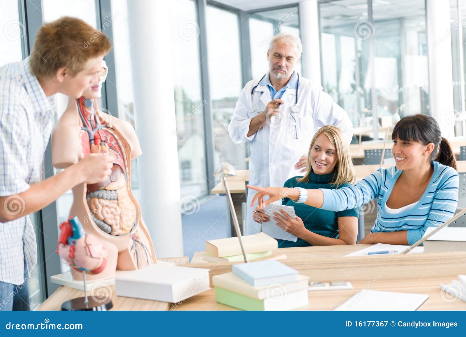 University - Students with Anatomical Model Stock Image - Image of ...
