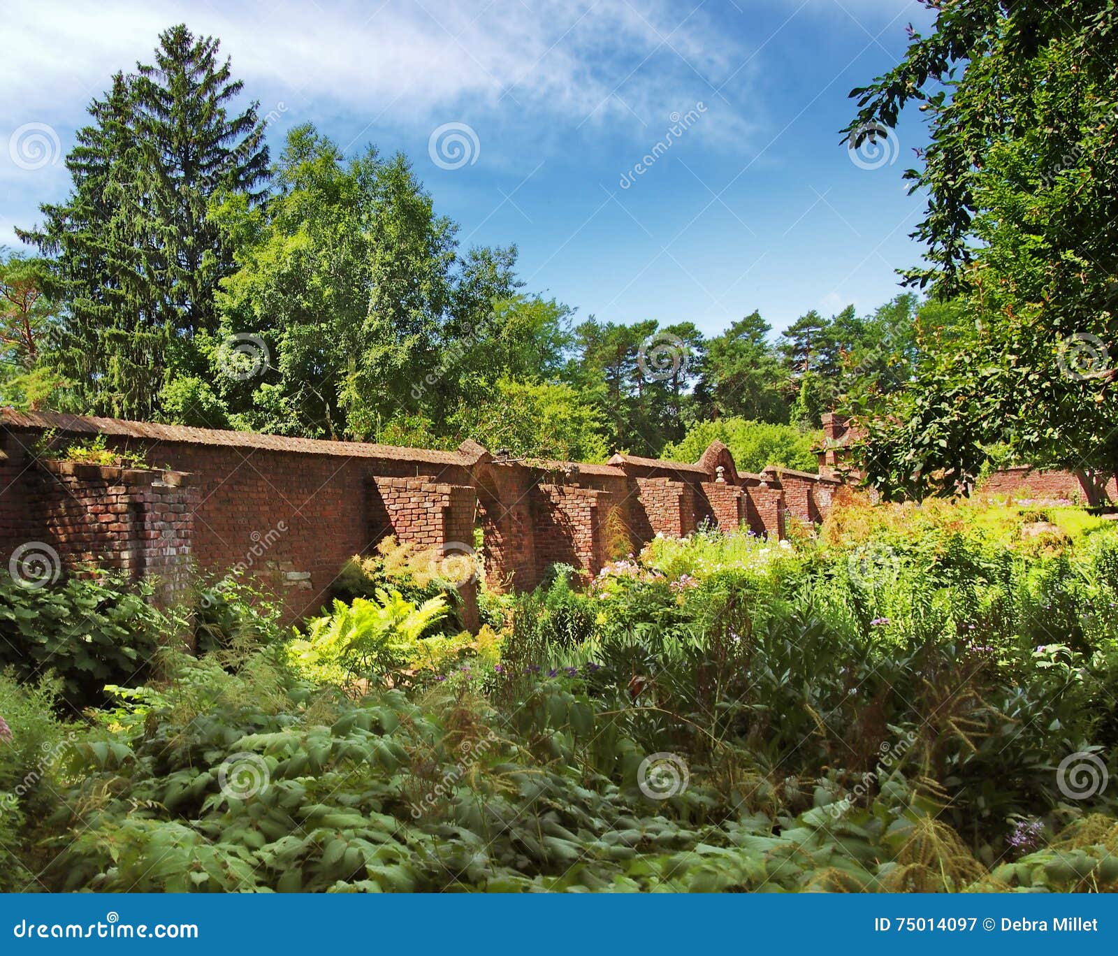 Unkempt garden stock image. Image of dilapidated, hidden - 75014097