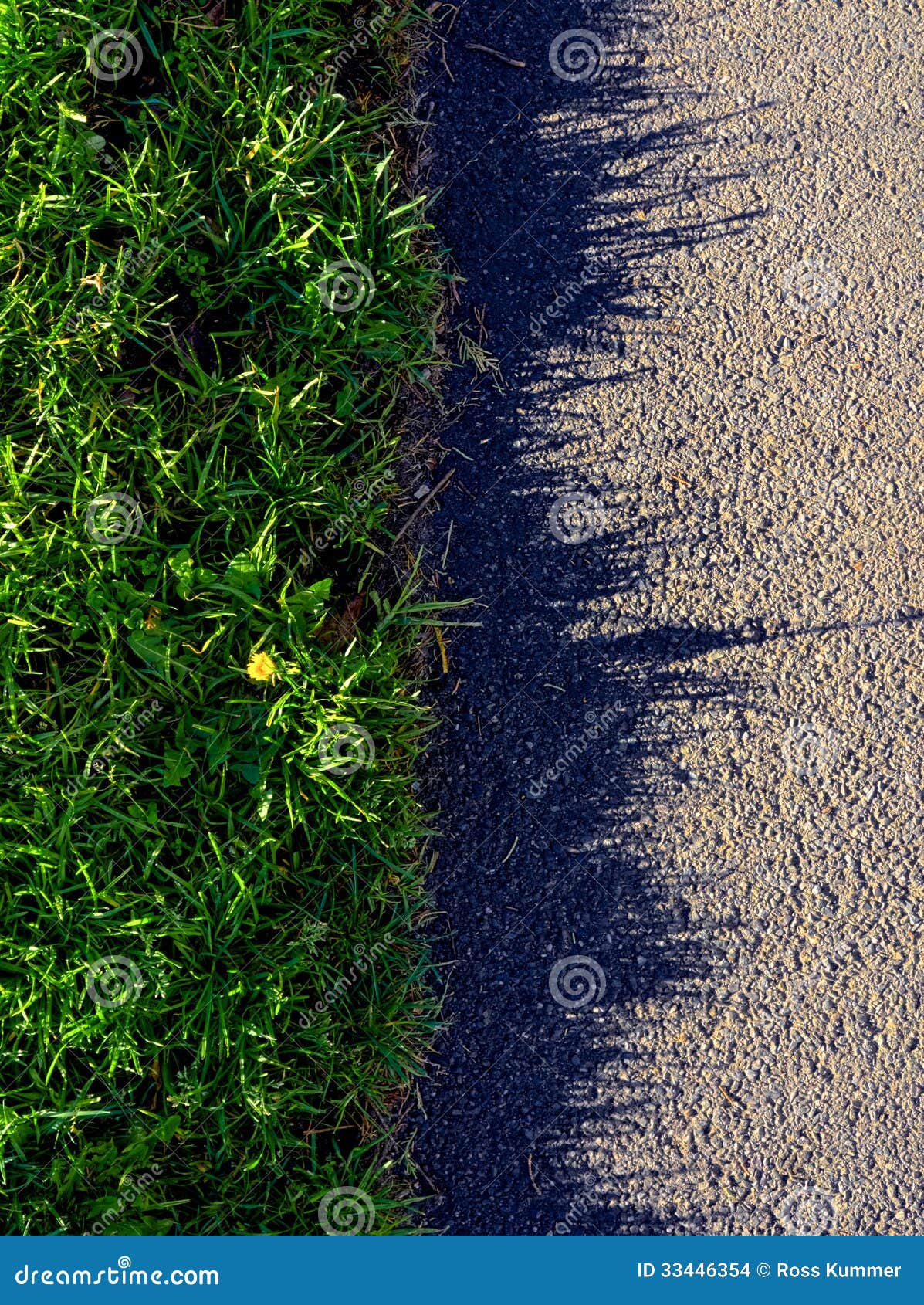 Unkempt grass stock photo. Image of park, edging, pavement - 33446354