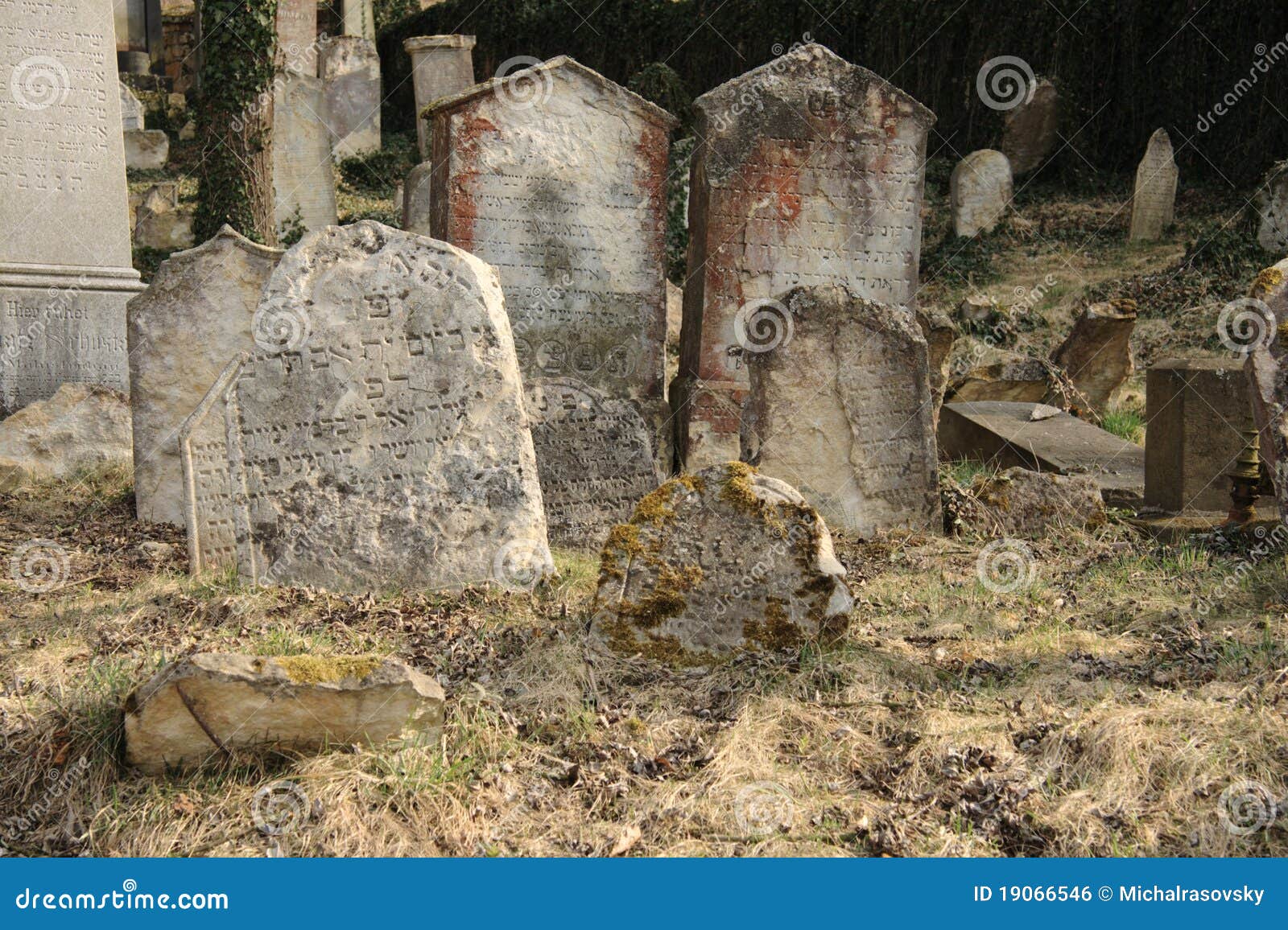 Unkempt Graveyard or Cemetery Stock Photo - Image of unkempt, marker ...