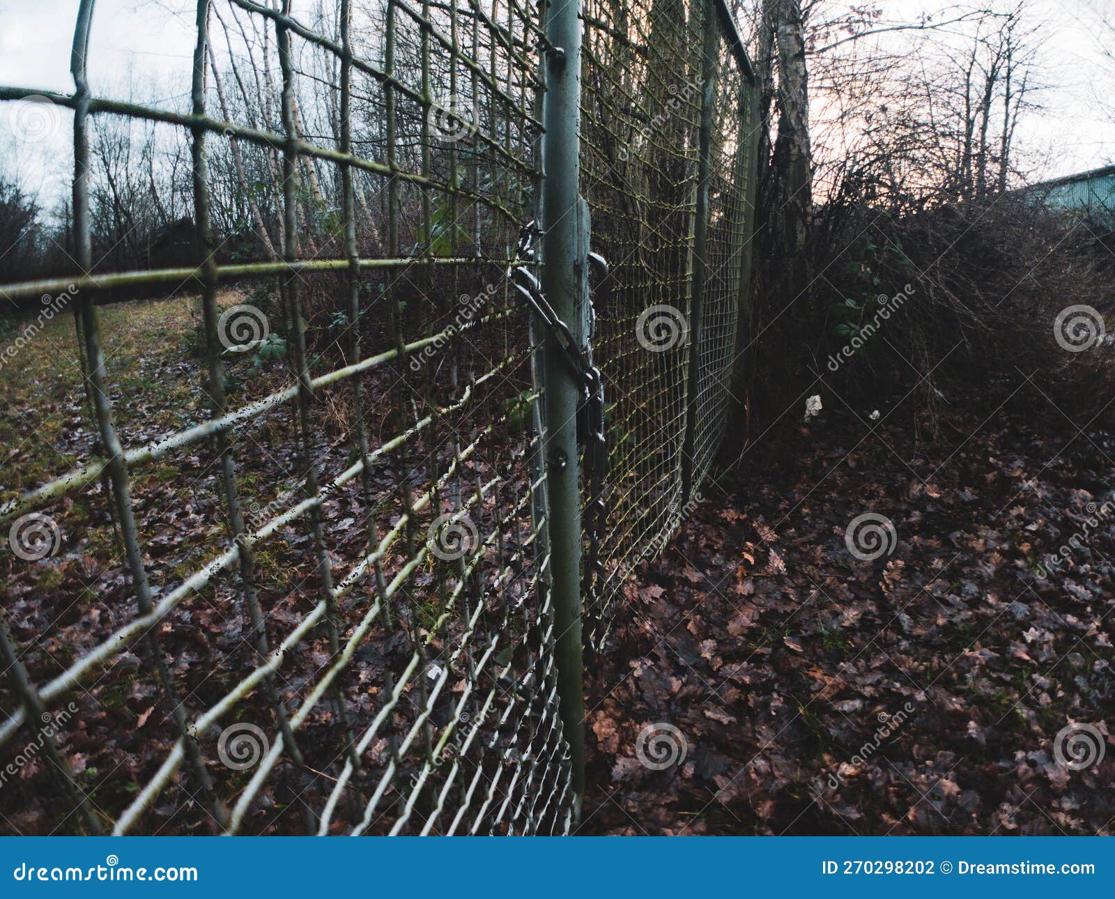 The Unknown Beyond: a Locked Gate and Chain in a Green Area Stock Photo ...