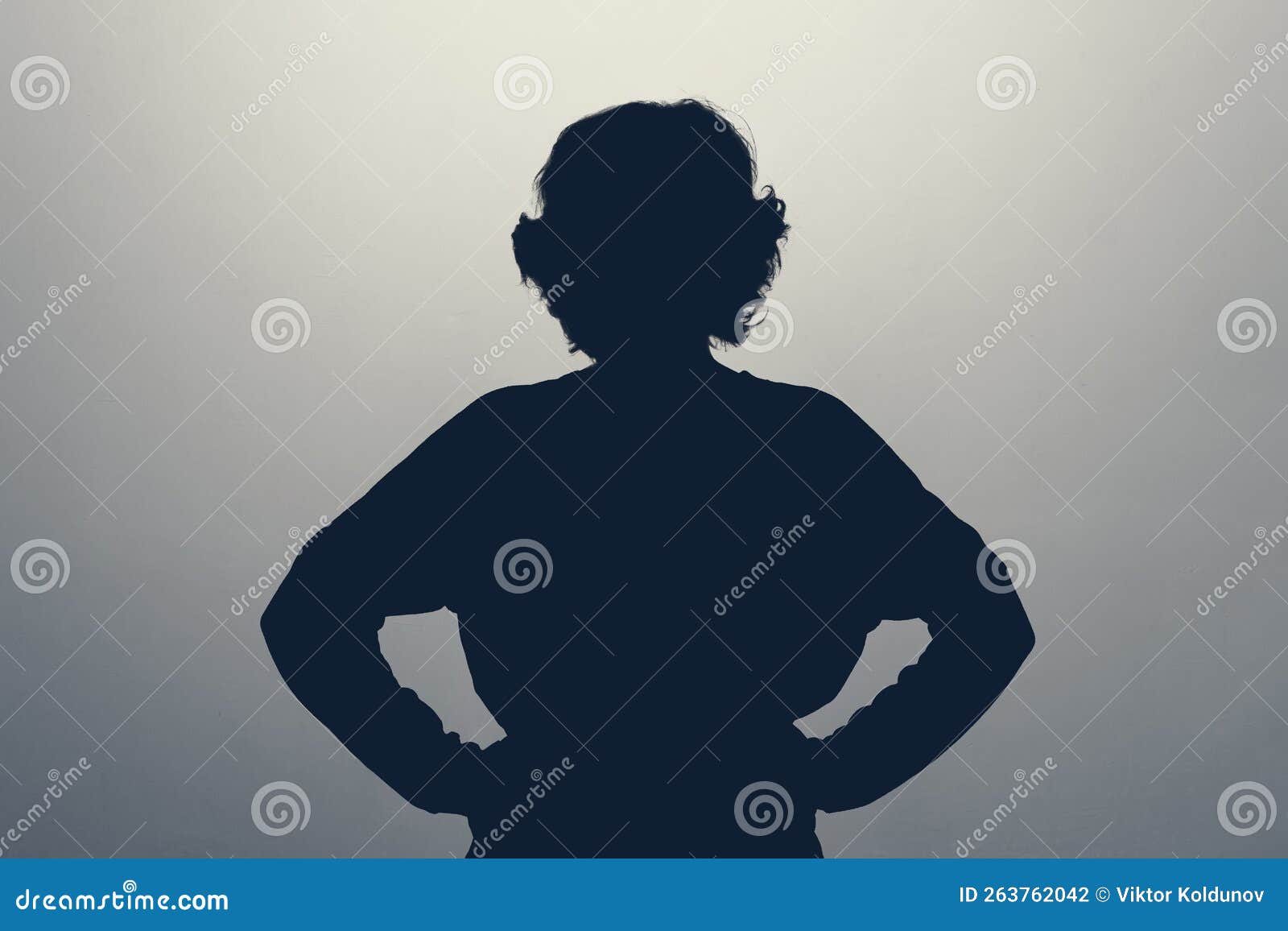 Unknown Female Person Silhouette in Studio. Stay Anonym, Hide Identity ...