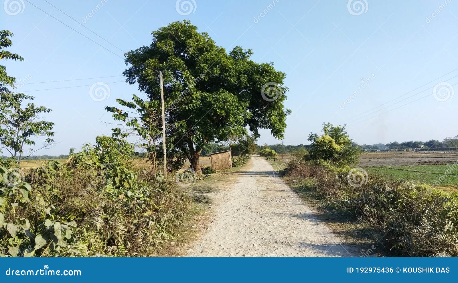 An Unknown Indian Village Path Stock Photo - Image of agriculture, road ...