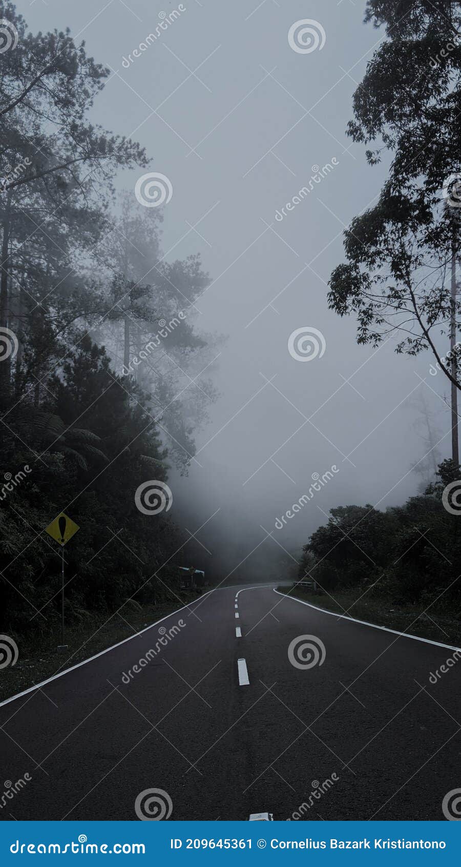 An Unknown Path stock image. Image of dawn, morning - 209645361
