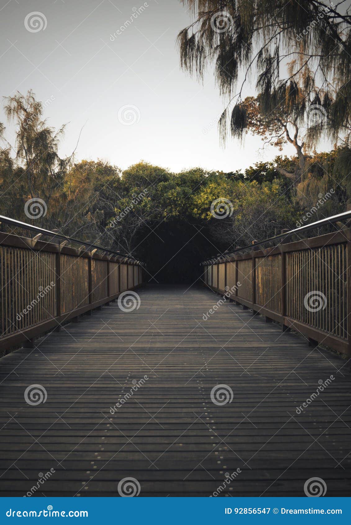 Unknown Path stock image. Image of unknown, dark, hidden - 92856547