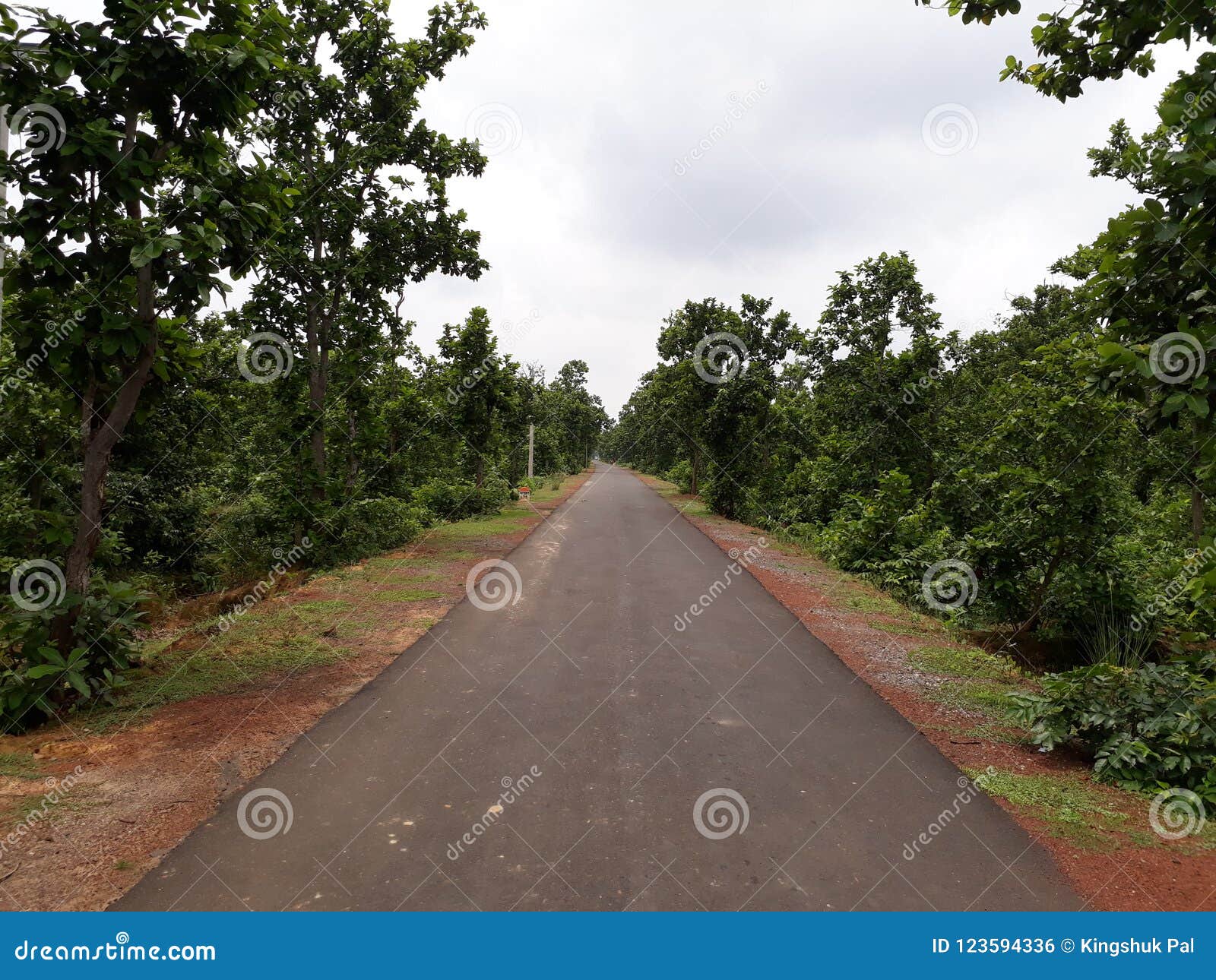 Unknown Path stock photo. Image of unknown, life, path - 123594336