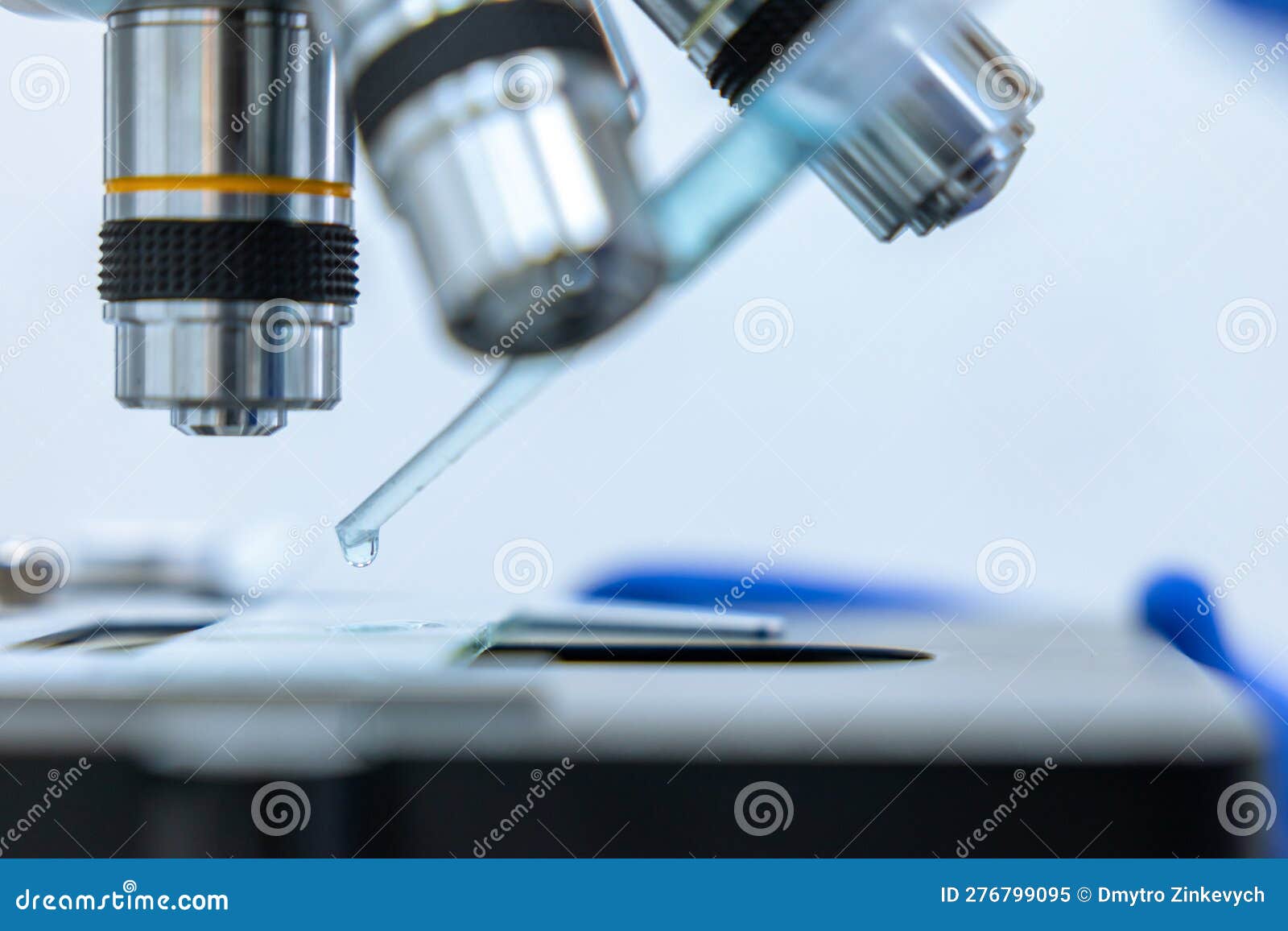 Unknown Scientist Dropping Liquid from Dropper To Petri Dish on ...