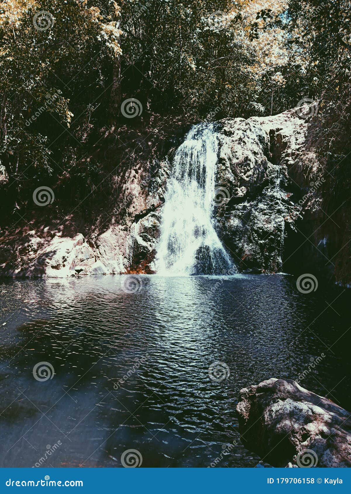 Unknown Waterfall stock photo. Image of tree, leaf, snow - 179706158