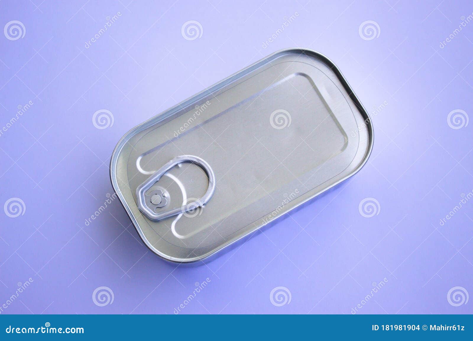Unlabeled can stock photo. Image of product, sardine - 181981904