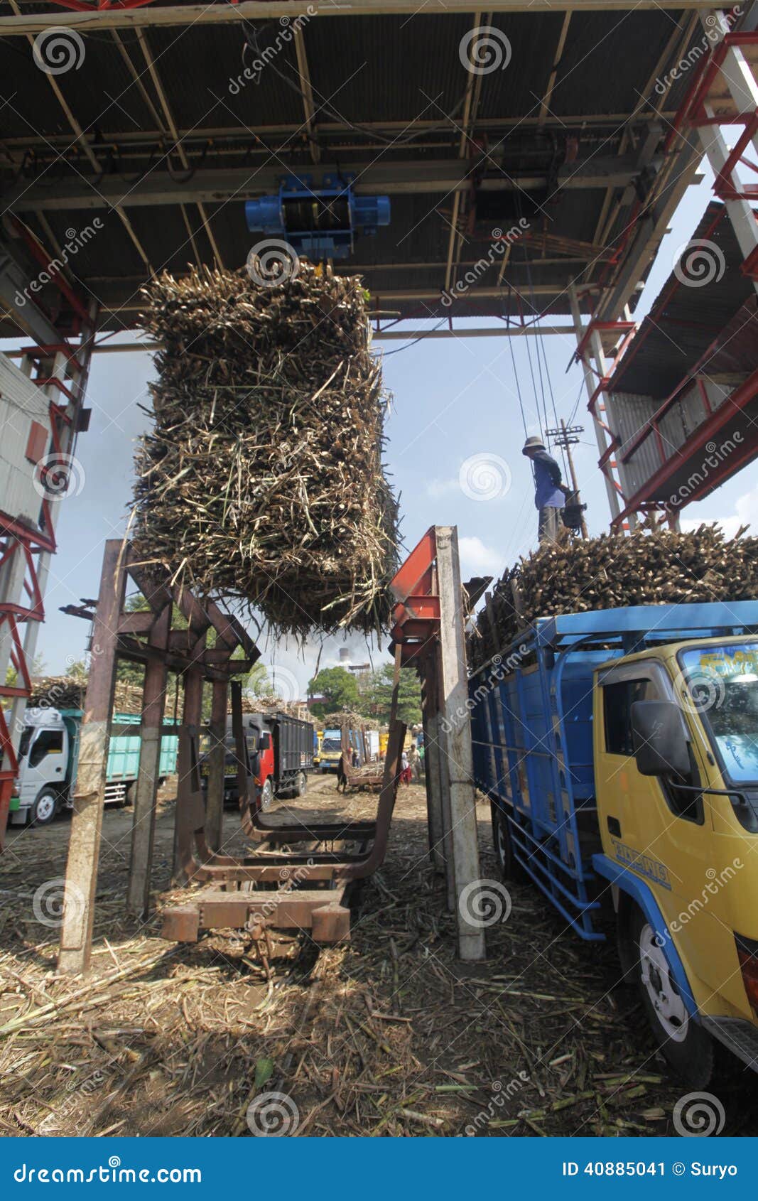 Unloading cane editorial photo. Image of cane, processed - 40885041