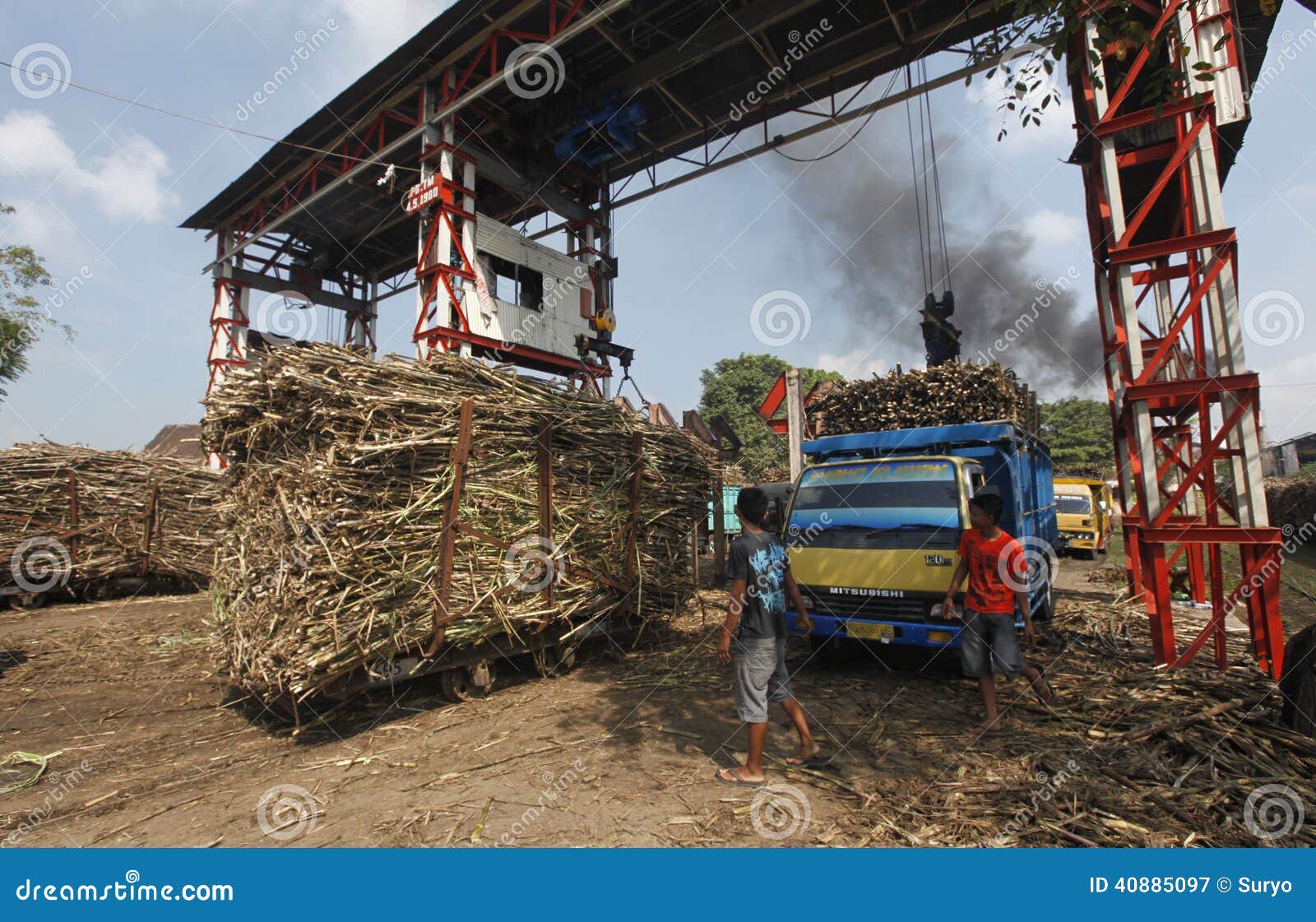 Unloading cane editorial photography. Image of sugar - 40885097
