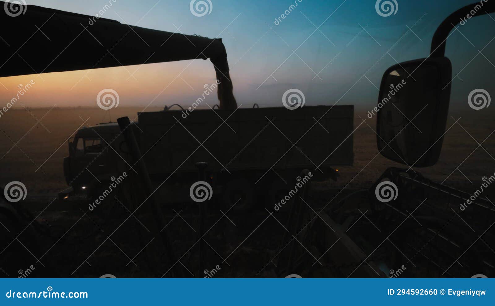 Unloading the Combine Harvester at Sunset, View from the Combine ...